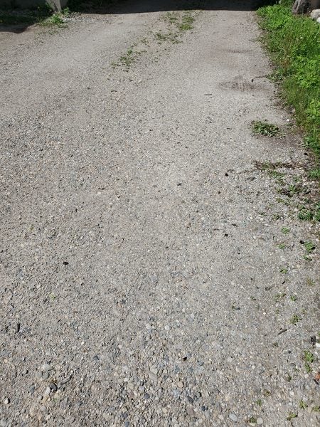 Tree roots cracking driveway - RedFlagDeals.com Forums