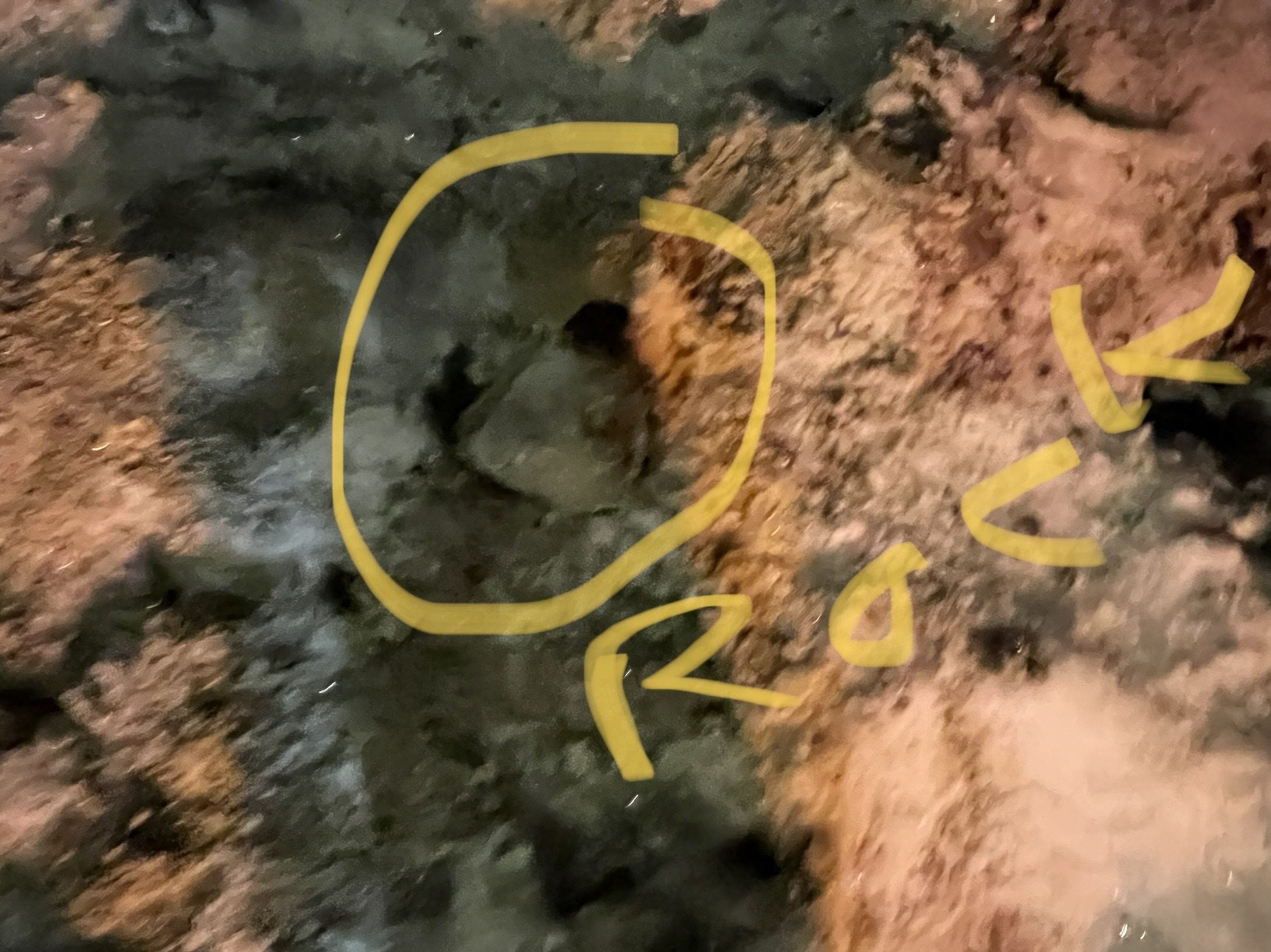 I hit a rock and it left a small ding on the oil pan. Should it be ...