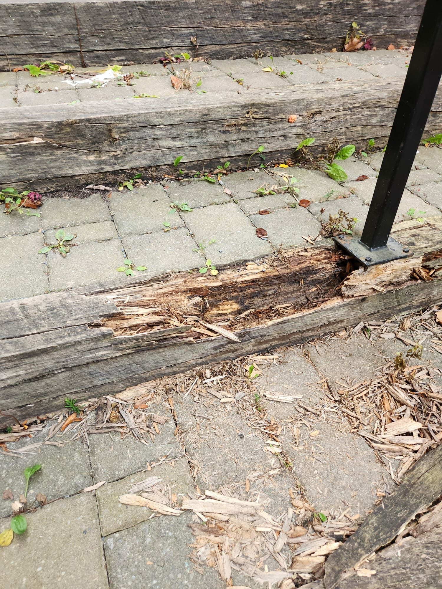 Need Advice Fixing Damaged Wooden Steps to Backyard - RedFlagDeals.com ...