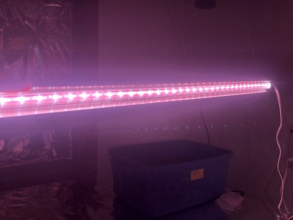 [Lowe's] GE 30 Watt Grow Fixture - $20.00 (Reg. $80.00) Red + White ...