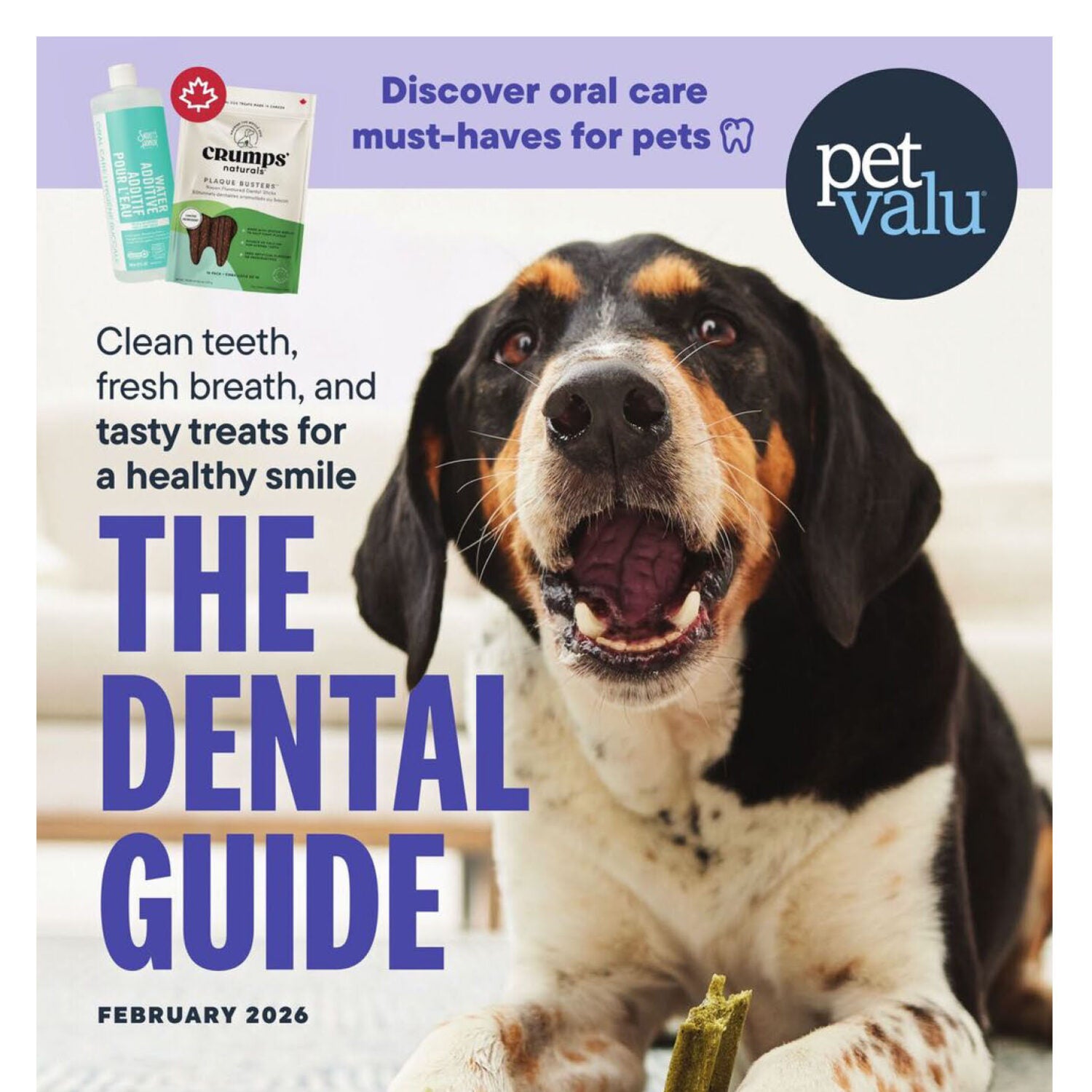 Pet Valu Weekly Flyer - The Dental Guide - Feb 1 – 28 - RedFlagDeals.com